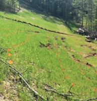 SRT Slope Stability System Helps Stabilize Unstable Soils